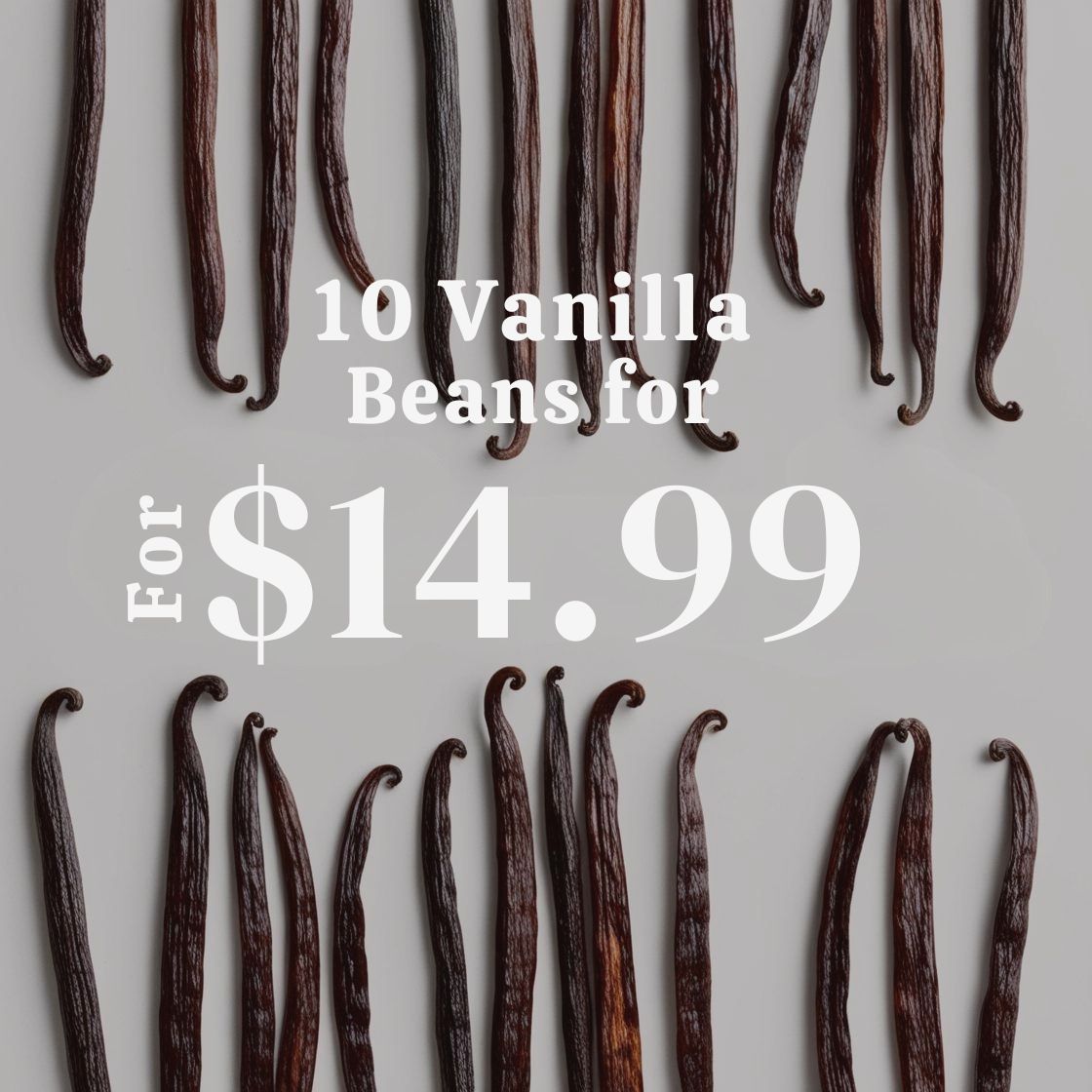 Buy High Quality Vanilla Beans Australia 100% Pure and Natural Vanilla ...