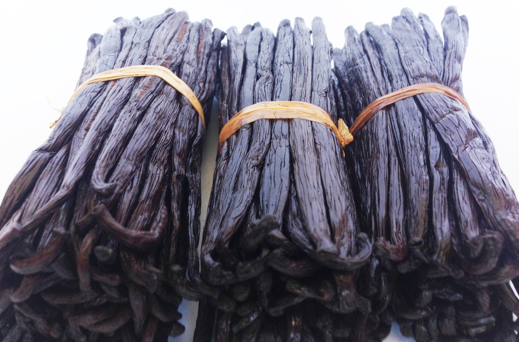 Buy Certified Organic Vanilla Beans Australia – Tropical Vanilla